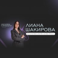 Иконка канала Лиана Шакирова | Основа прибыли. Консалтинг