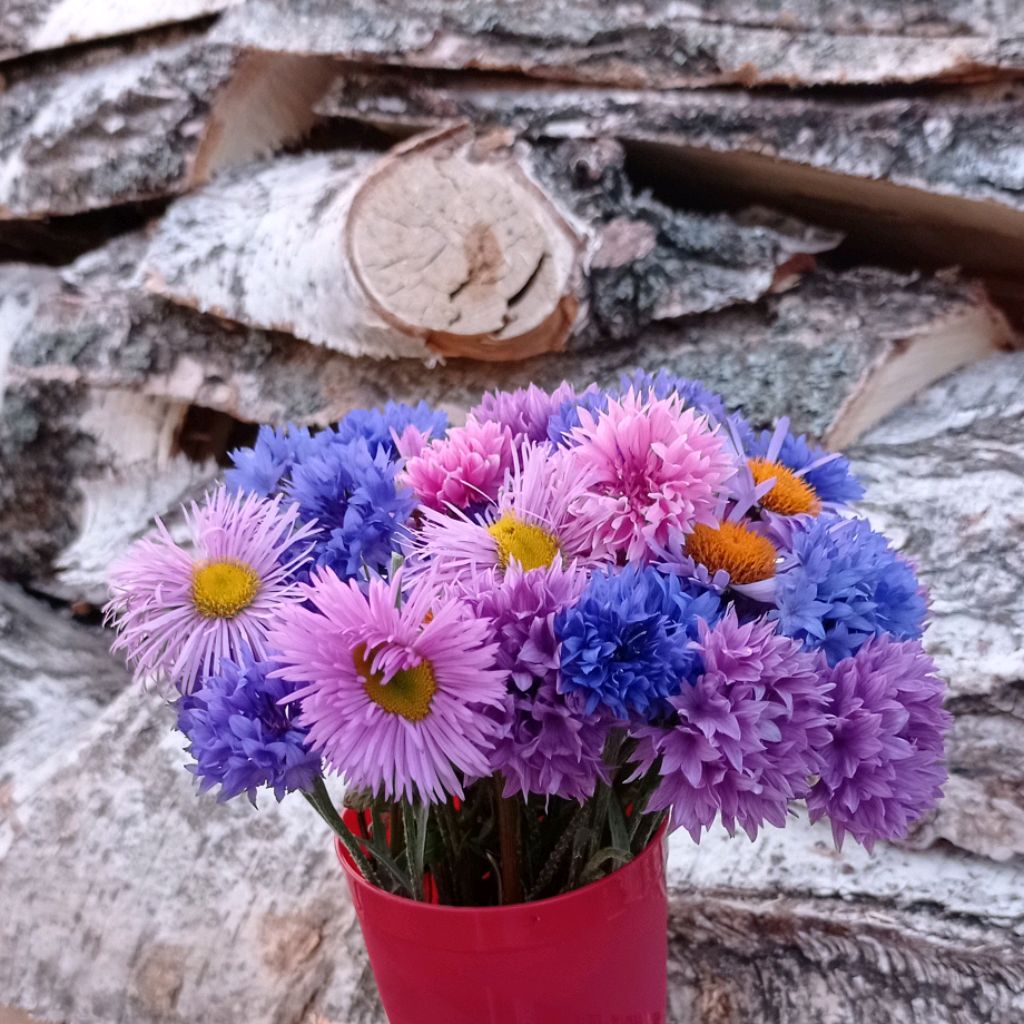 Иконка канала Моя шкатулка