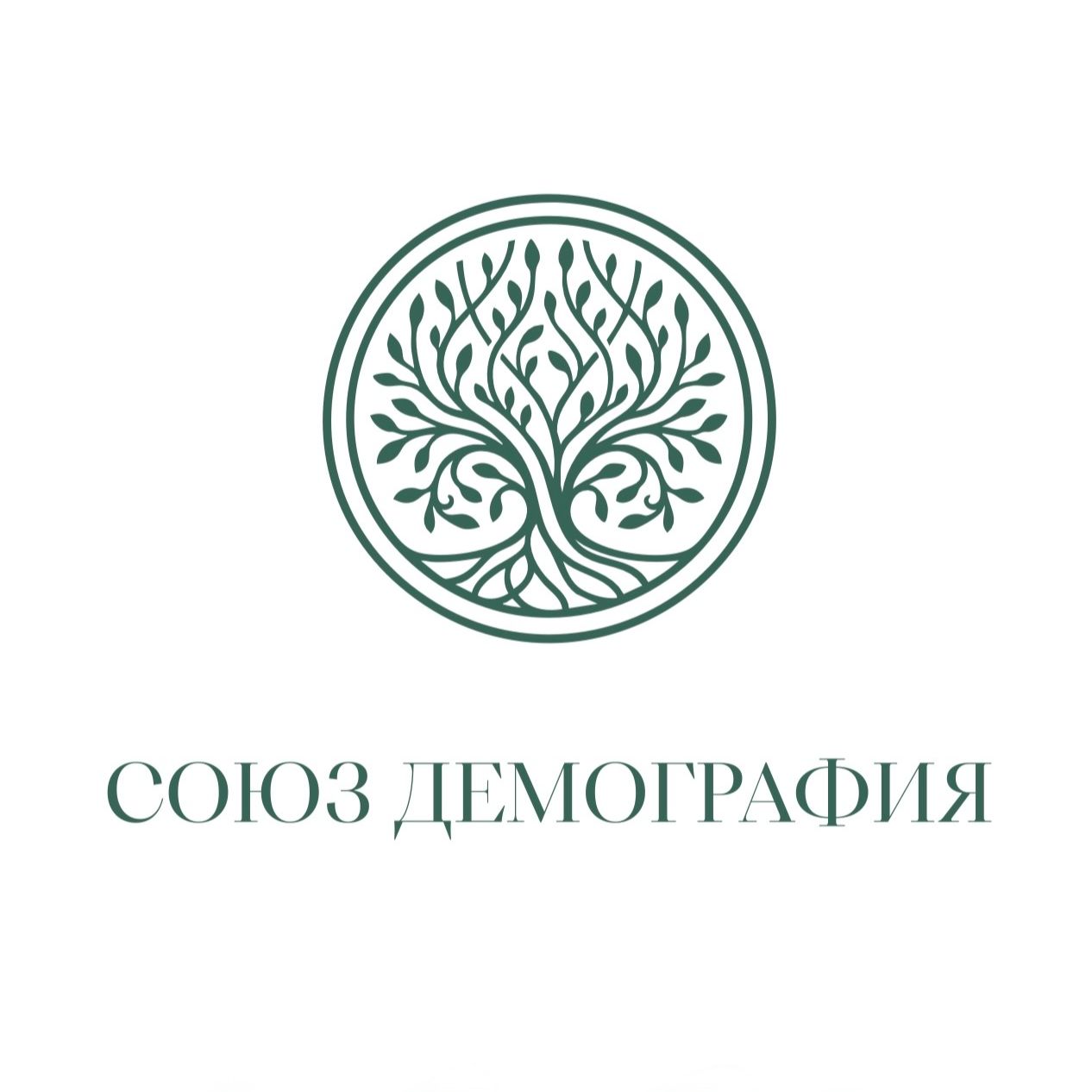 Иконка канала Национальный союз Демография