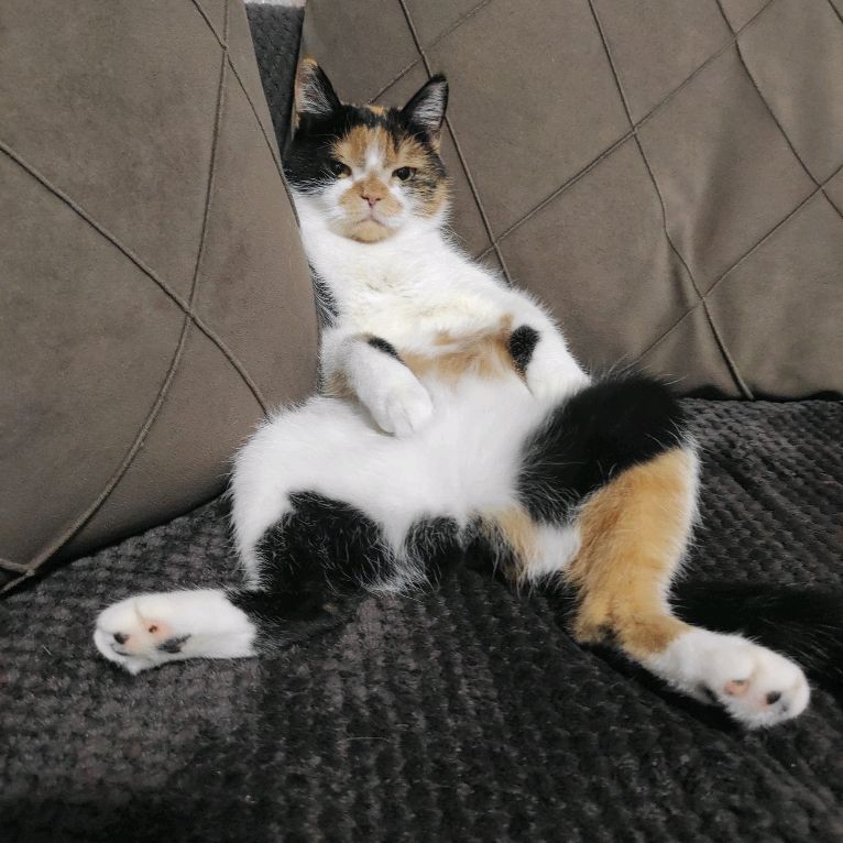 Иконка канала Макс И Егор