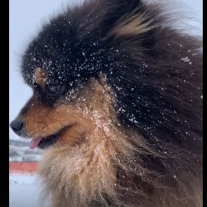 Иконка канала ПростоЖизнь