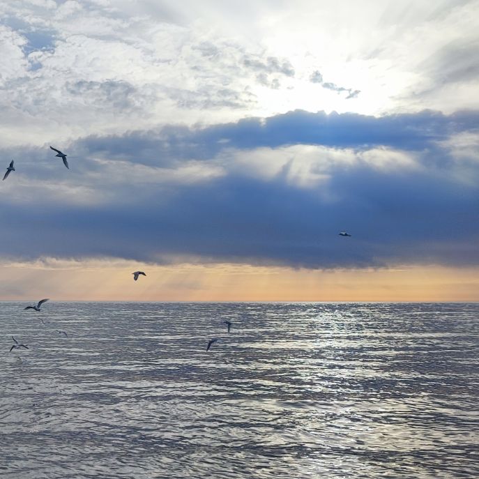 Иконка канала Река иль море