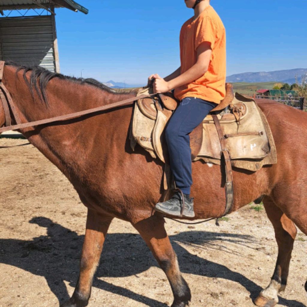 Иконка канала Андрей Шоу