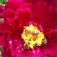 Иконка канала МУЗЫКА ИИ, СТИХИ Е. Касаткина.