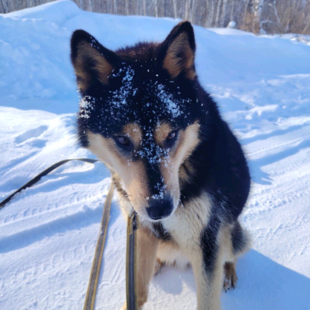 Иконка канала На_Тропе