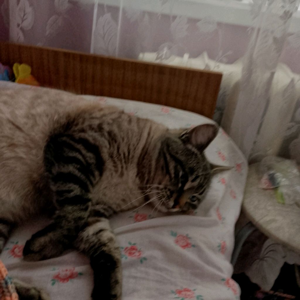 Иконка канала Арина