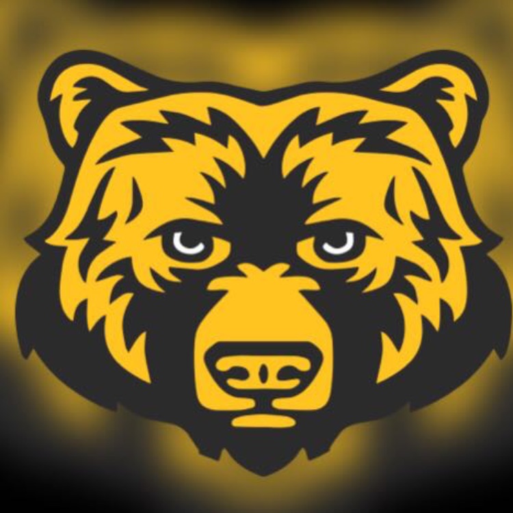 Иконка канала МЕДВЕДЬ ЭКСПЕРТ