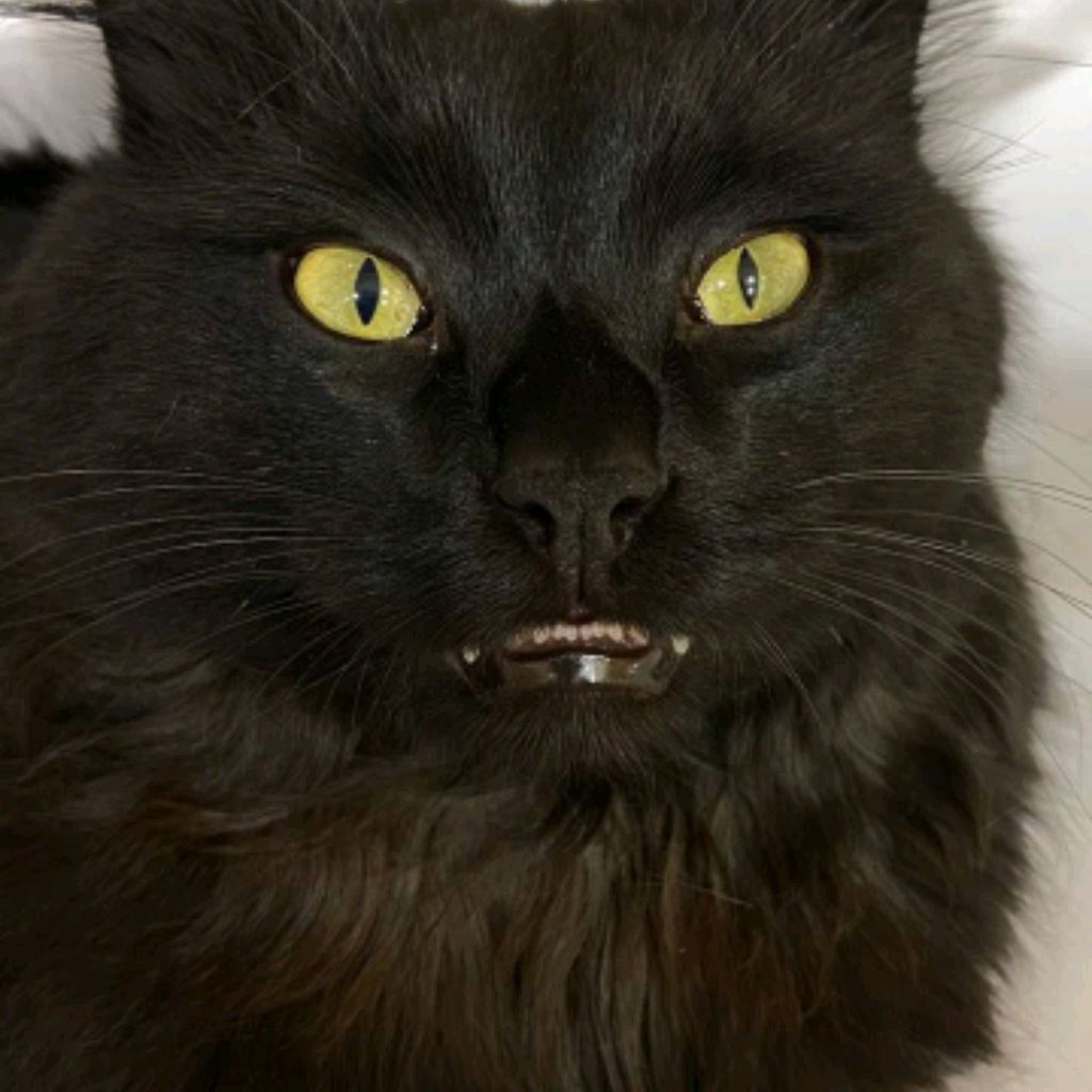 Иконка канала Михаил Морозов 44к RUTUBE