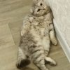 Иконка канала Pavel Pavel