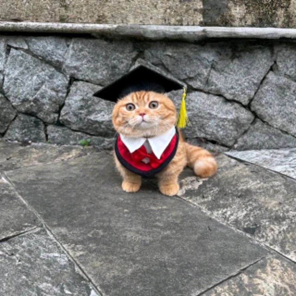 Иконка канала 🍿Sofik🍿