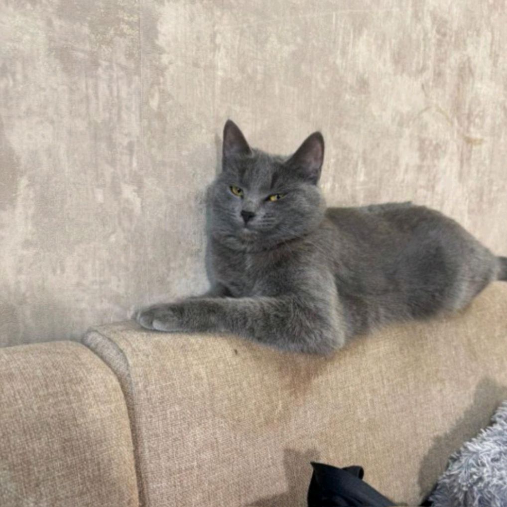 Иконка канала Kirtin3251 На Рутуб