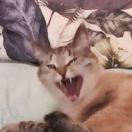 Иконка канала AKSel