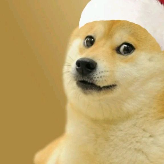 Иконка канала ДОГГИ