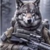 Иконка канала Wolf _10.000 %