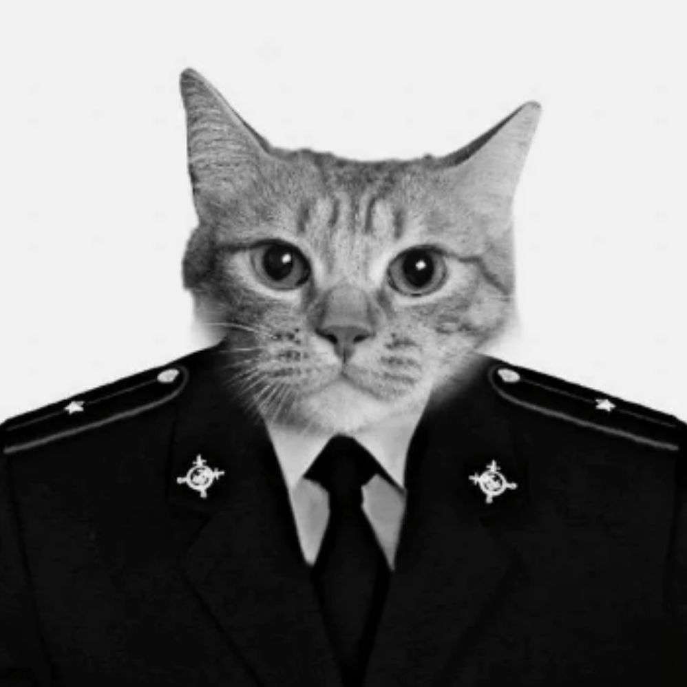 Иконка канала Майор Котиков