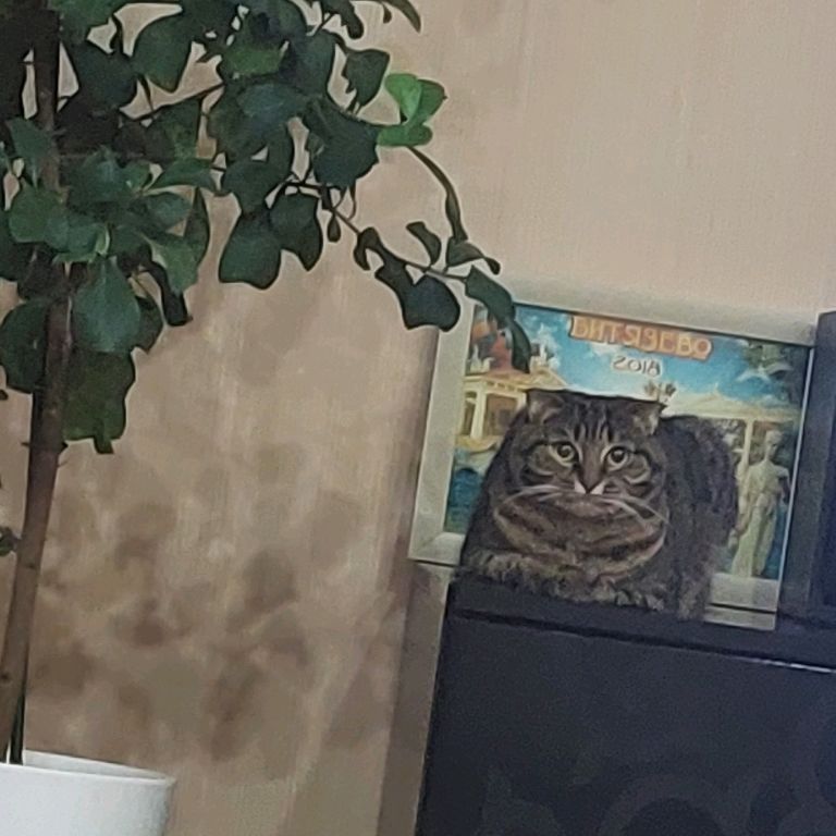 Иконка канала Просто Фроська❤️ и Маша