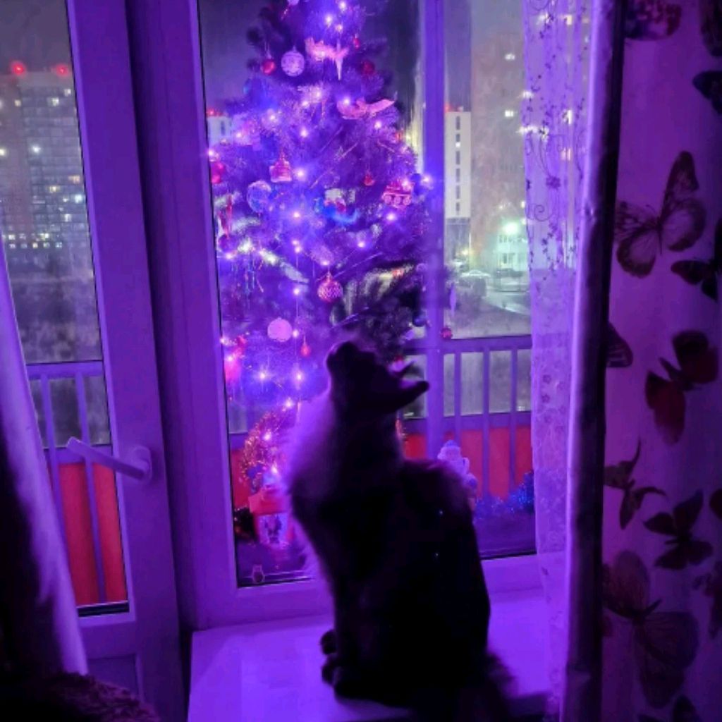 Иконка канала ♡🌌🍃~Li𝖟𝖟𝖟𝖟a~💨🌷♡