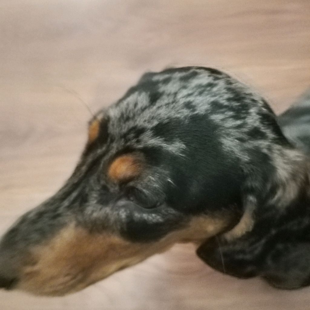 Иконка канала Стендофф2