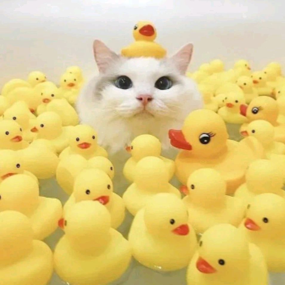 Иконка канала ^._.^