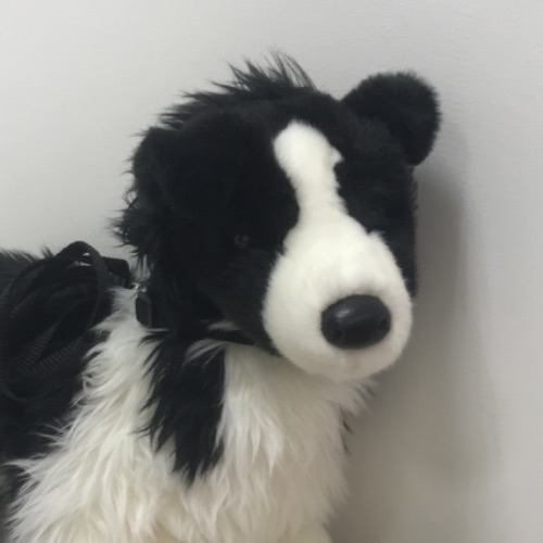 Иконка канала #ⲟⲕⲥυ ⲏⲁ ⲥⲃяⳅυ//🗻🖇️