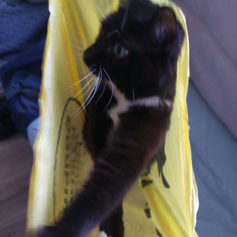 Иконка канала Grm😼