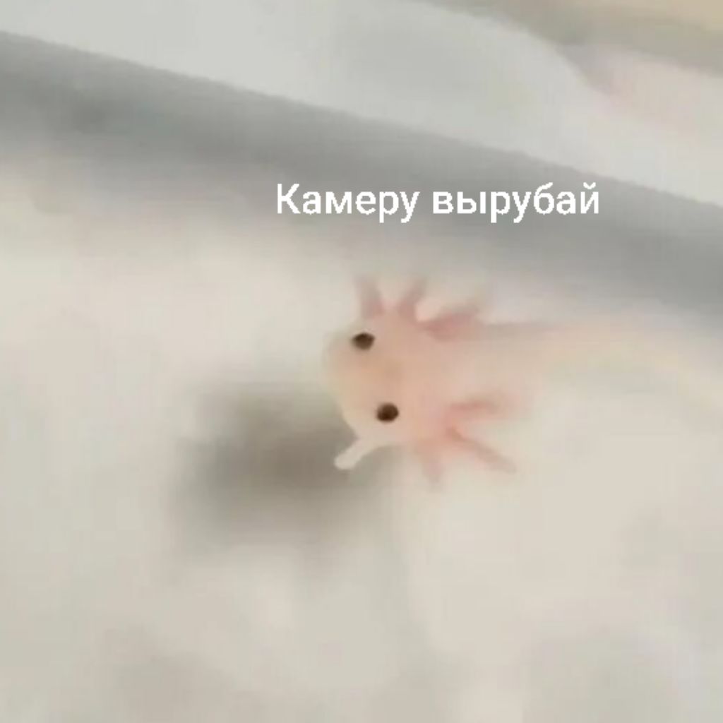 Иконка канала Я ☆axolotl cheater☆