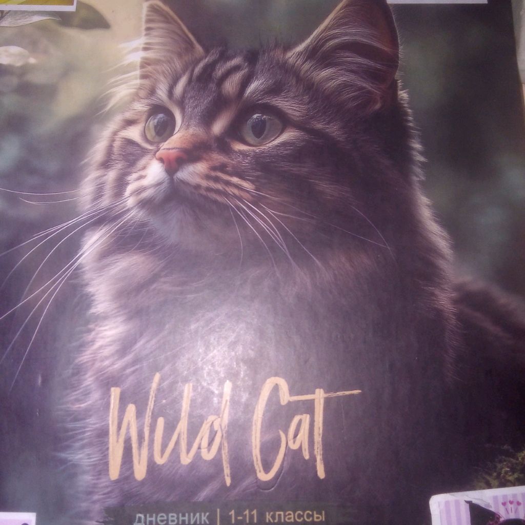 Иконка канала Rita pley 201727