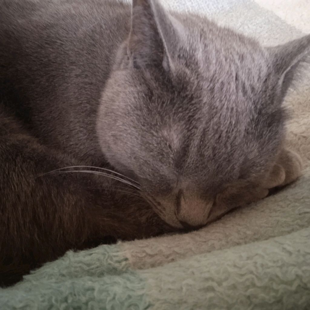 Иконка канала S228гел