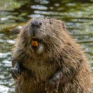 Иконка канала Den_Men