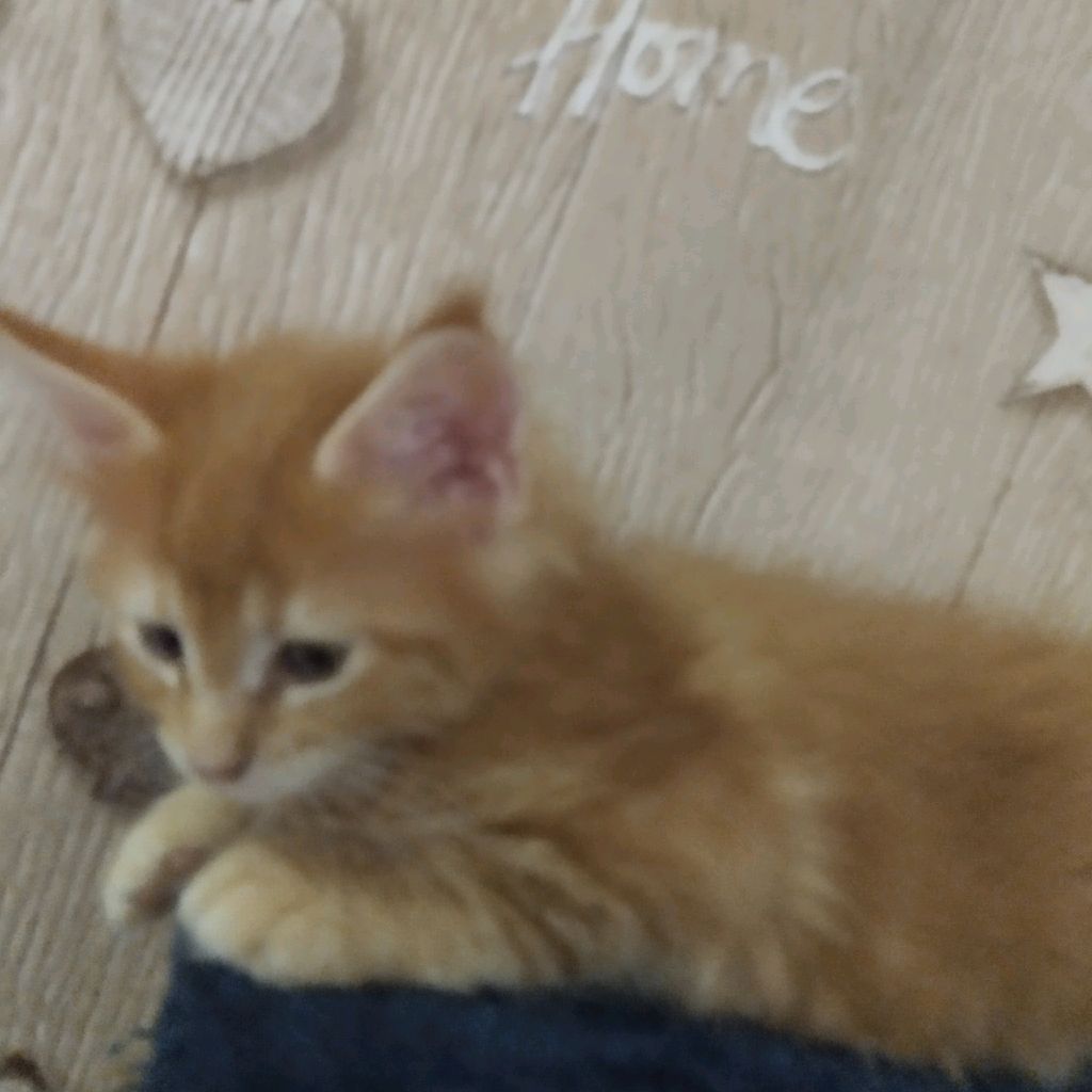 Иконка канала ★Мадина ♪