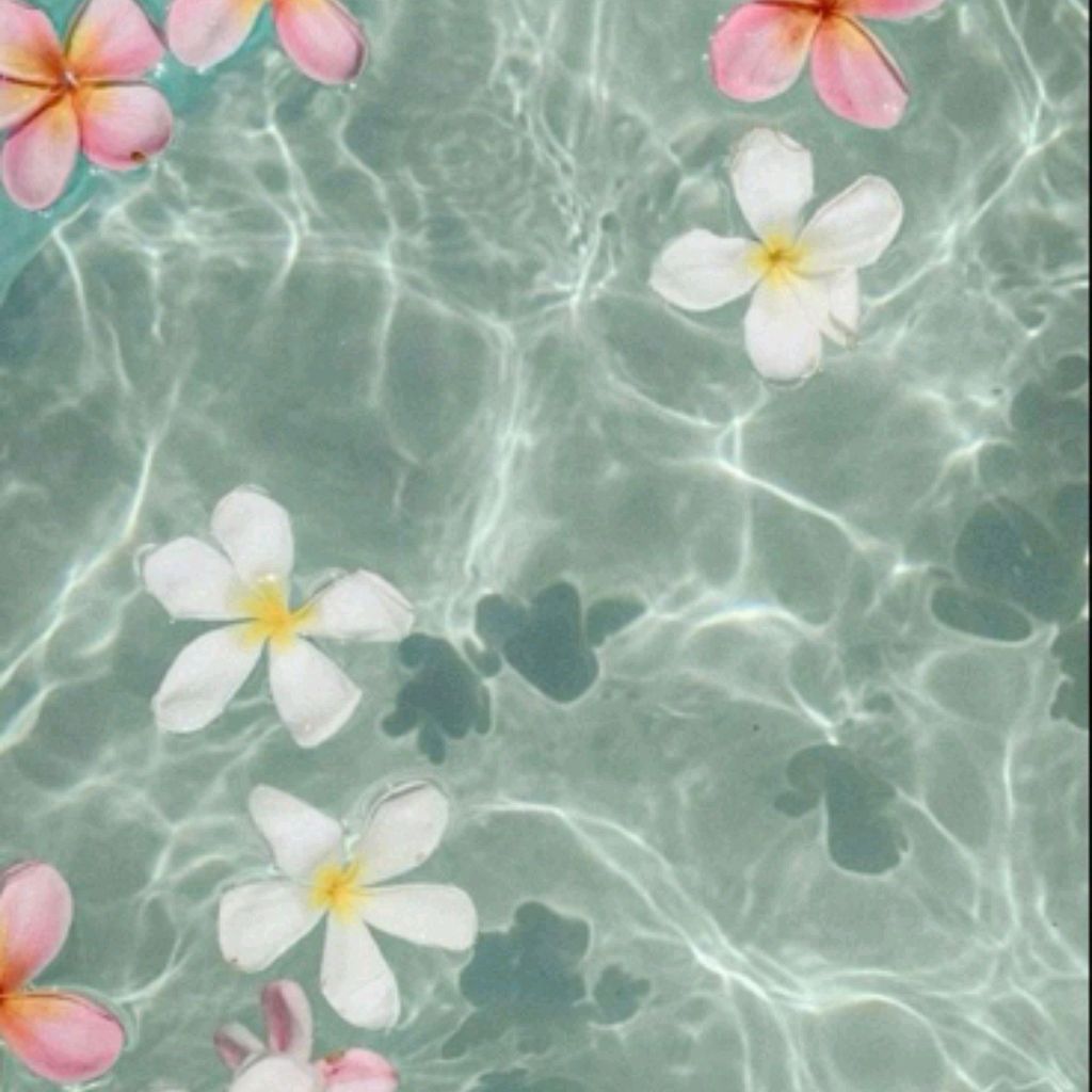 Иконка канала KsEhA_67_{^°°^}💐🫐💗