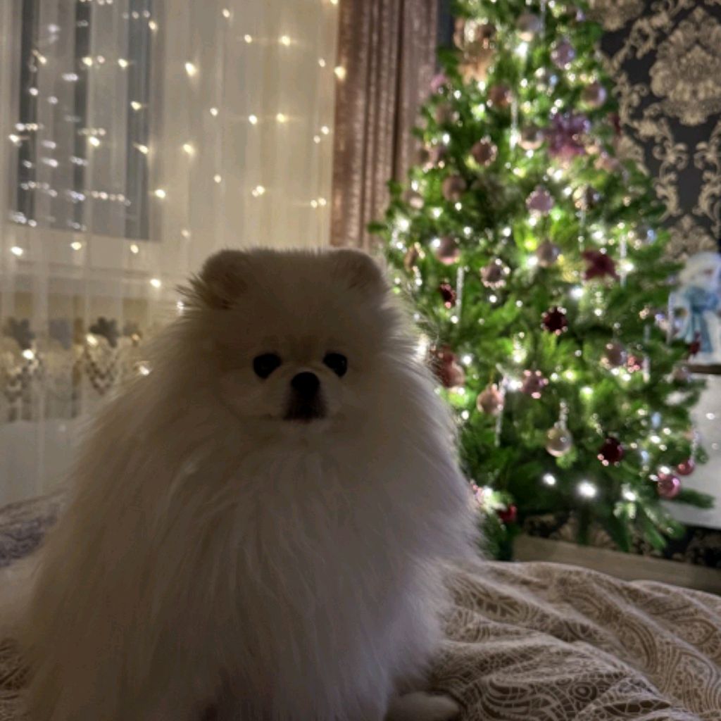 Иконка канала Yaroslav246