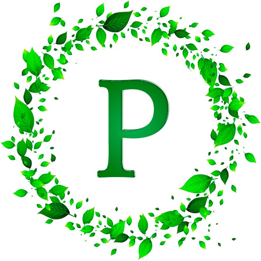 Иконка канала Здоровый Роман