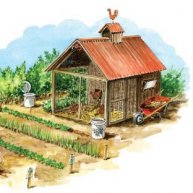 Иконка канала ОГОРОДНЫЕ