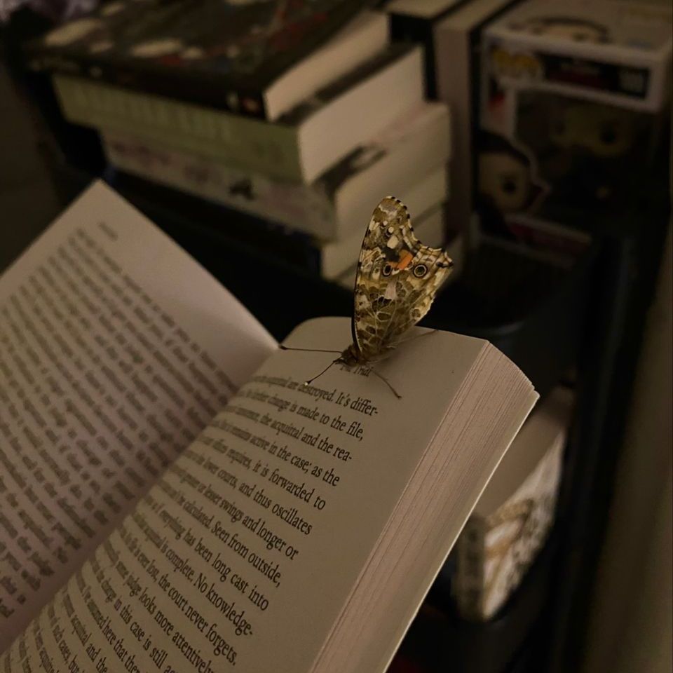 Иконка канала Искренние Признания