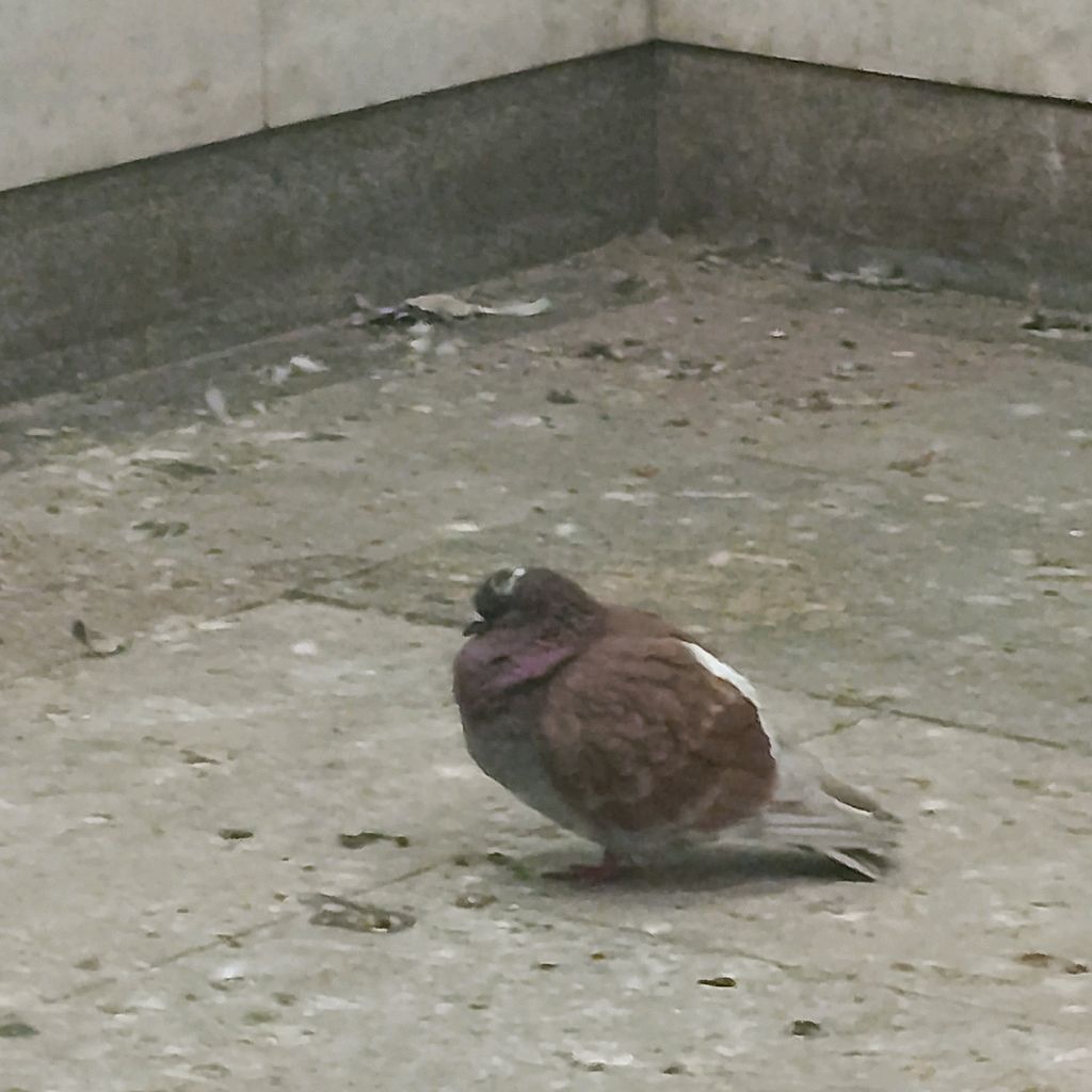 Иконка канала GLEB PRO