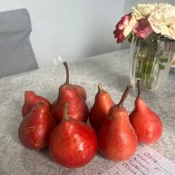 Иконка канала Сад для души