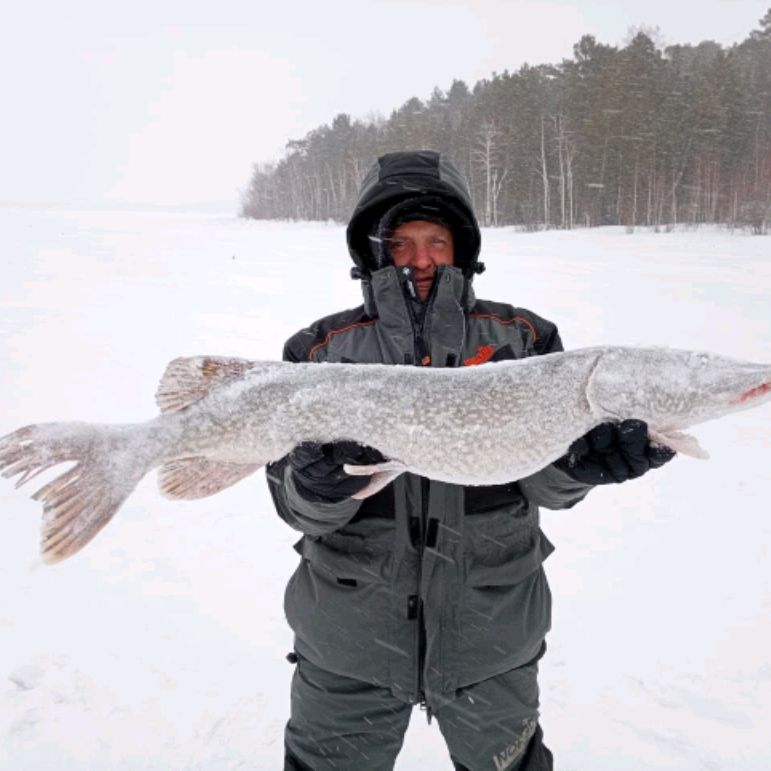 Иконка канала КДН 79