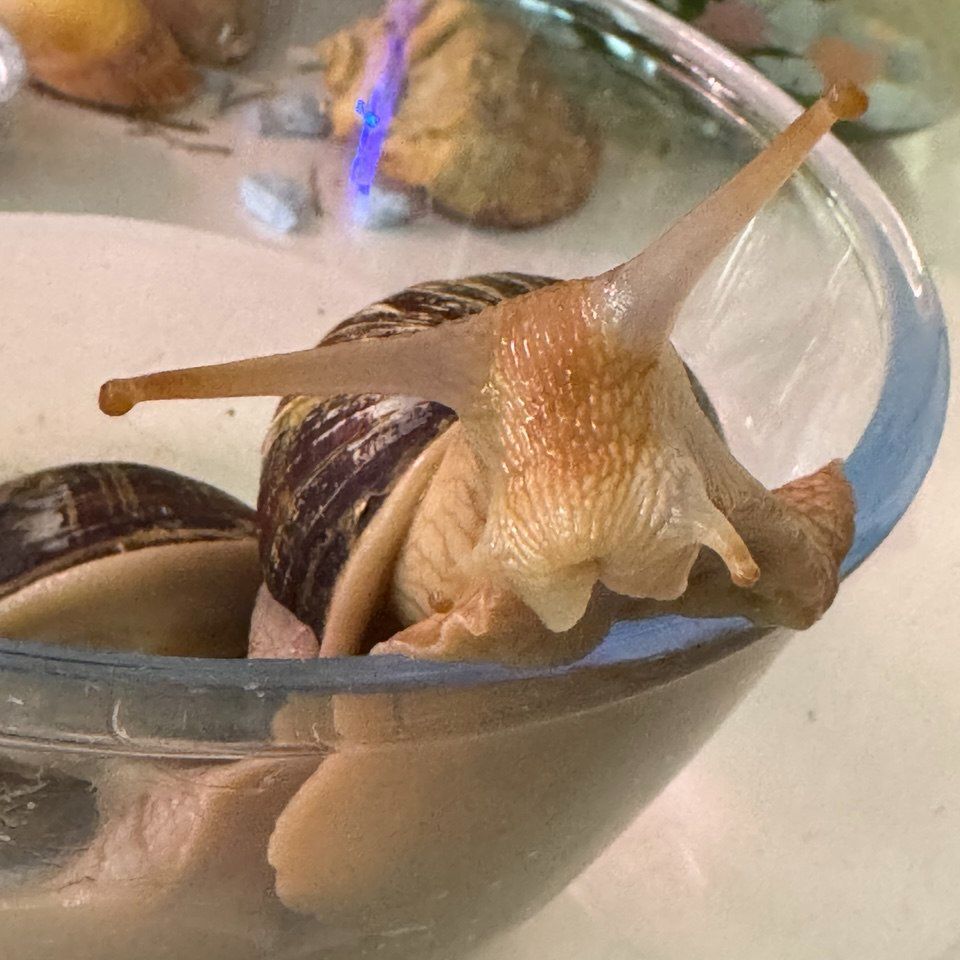 Иконка канала Счастье