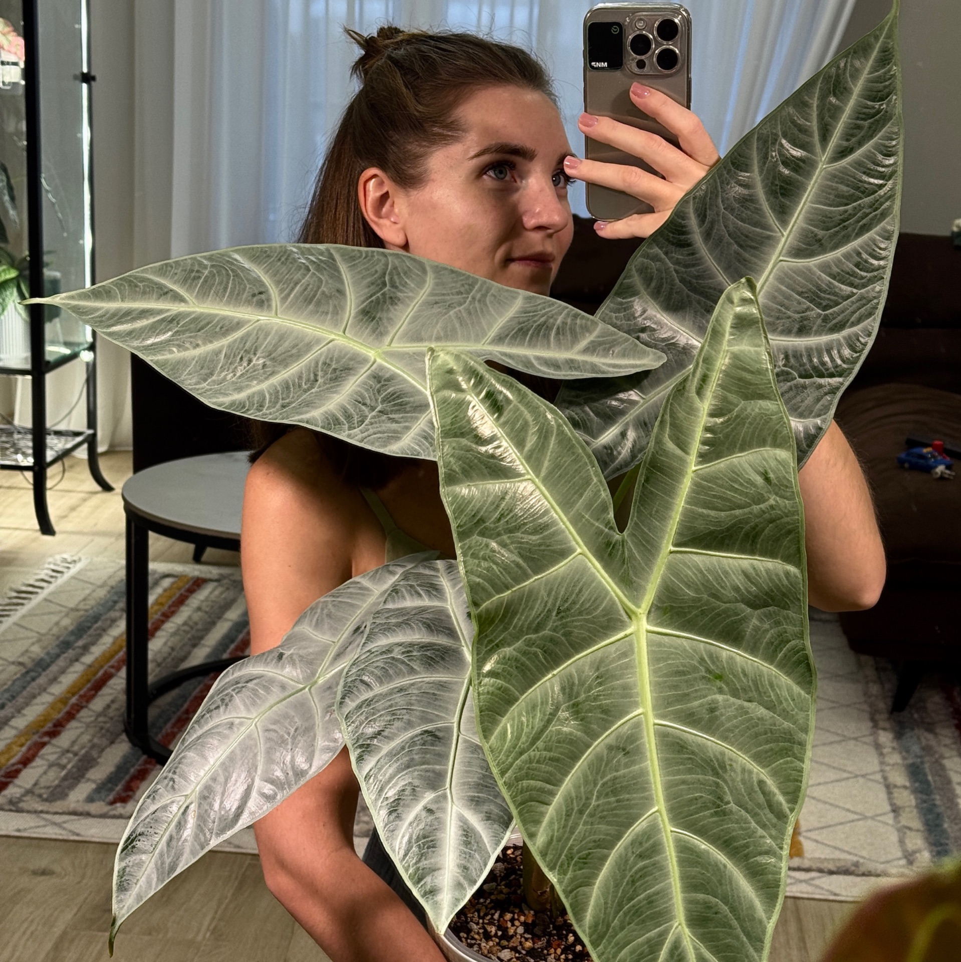 Иконка канала PS_plants