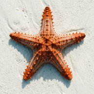 Иконка канала DEEP HOUSE RESORT