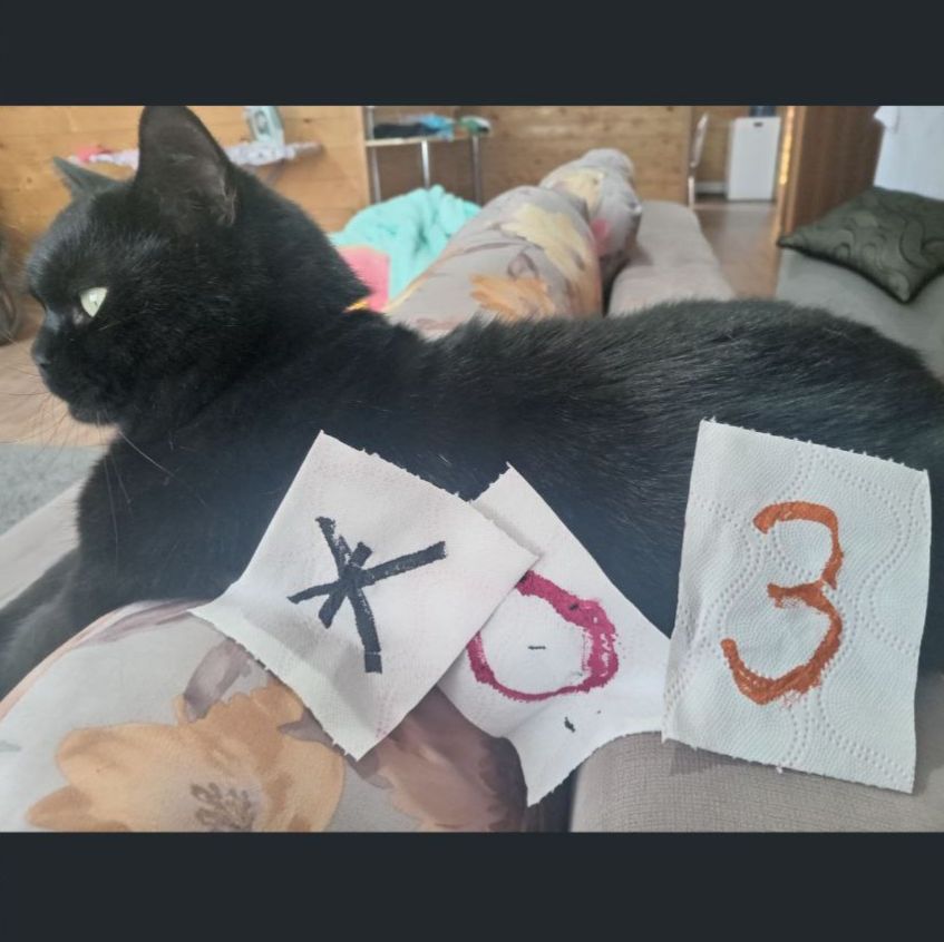 Иконка канала ЖОЗ (Жизненно-Обычные Заметки)