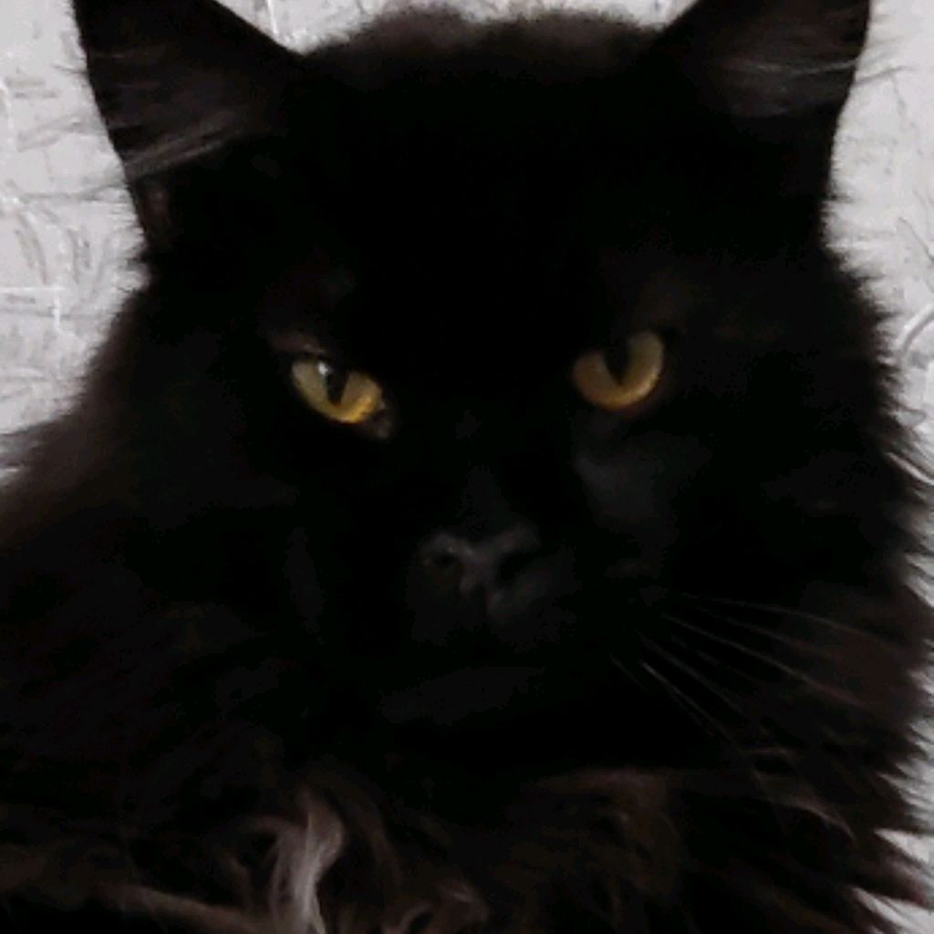 Иконка канала Ксюшка