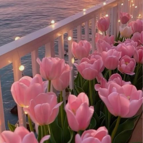 Иконка канала Sweet girls