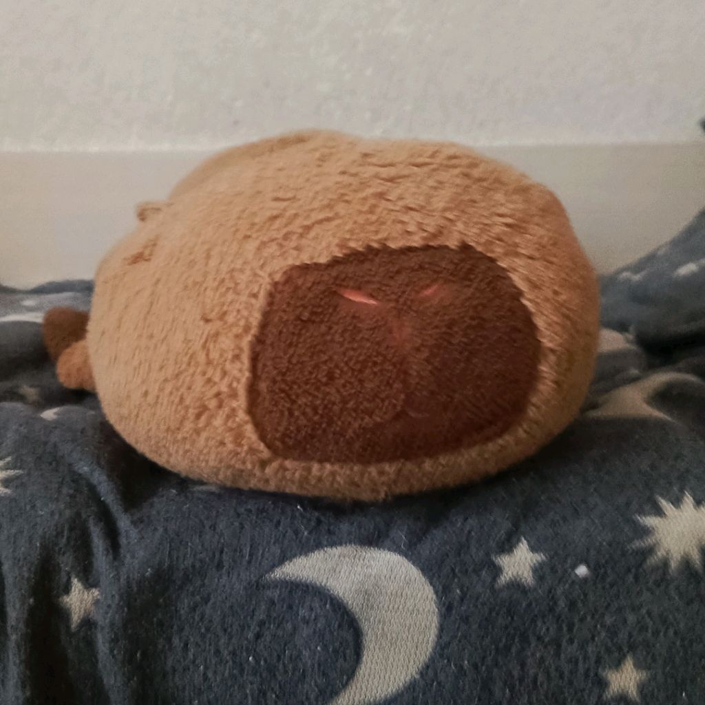 Иконка канала Капибара В Очках 💙💙🩵🦇🐋 Только Зимняя.