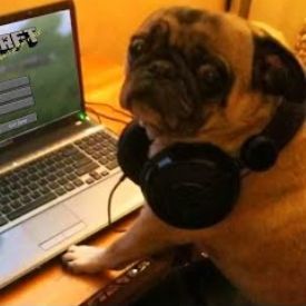 Иконка канала Мопс геймер