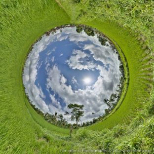 Иконка канала Домашний