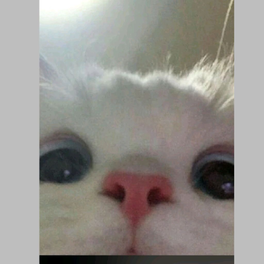 Иконка канала S_o_f_a