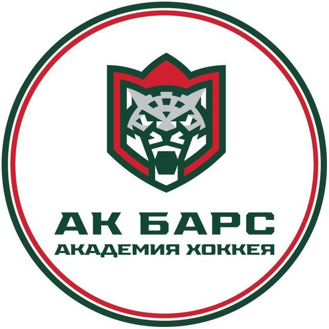 Иконка канала Академия хоккея «Ак Барс»