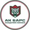 Иконка канала Академия хоккея «Ак Барс»